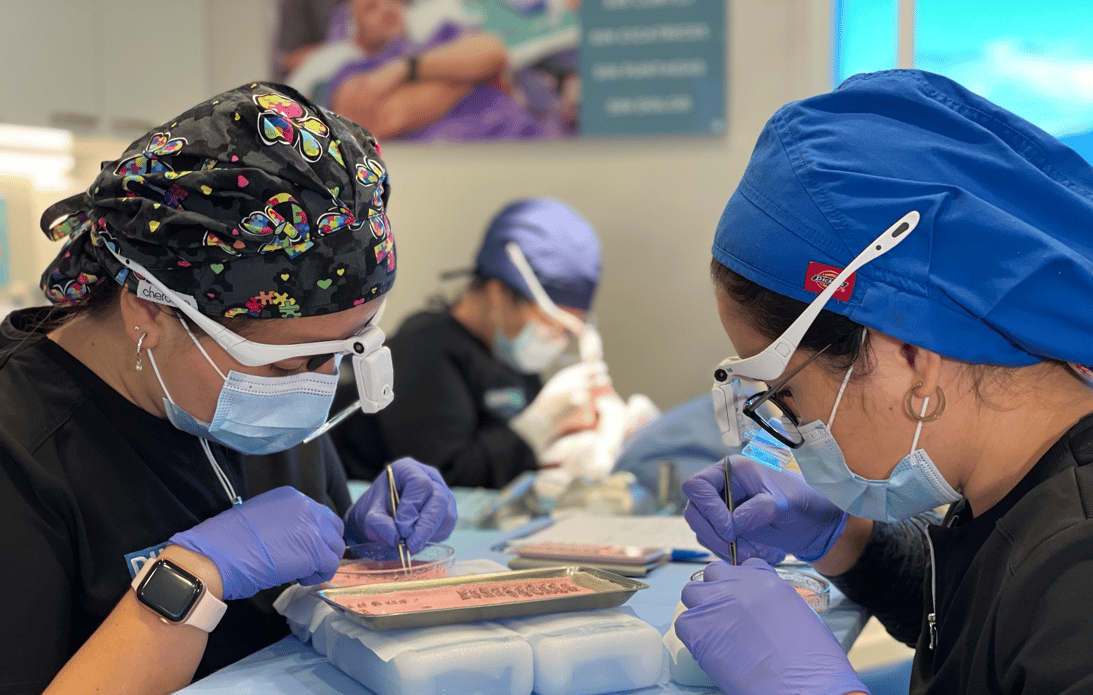 Why is the DHI technique considered the best?